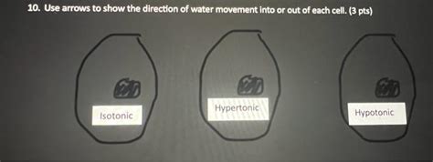 Solved 10 Use Arrows To Show The Direction Of Water