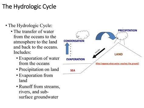 Lesson 4 Ecosystem Functions And Ecosystem Services Pdf