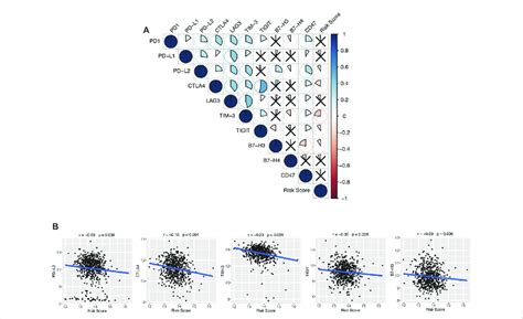 Association Between The Glycolytic Risk Model And Immune Checkpoint