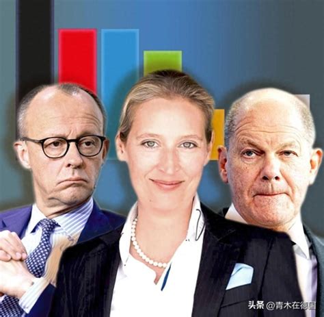 德国“铁娘子”魏德尔能否赢下大选 中国网友寄予厚望军事频道中华网