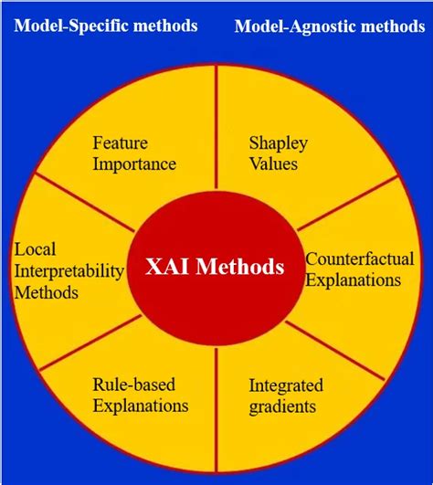 What Is Explainable Ai Xai