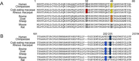 Nkp46 Multiple Sequence Alignment A Multiple Sequence Alignment Of
