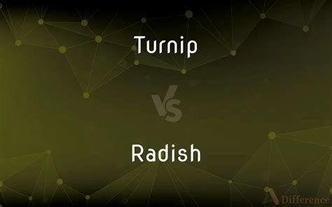 Turnip Vs Radish — Whats The Difference