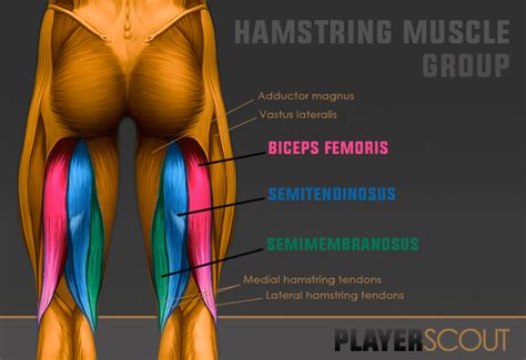 Pulled Hamstring Grade 1