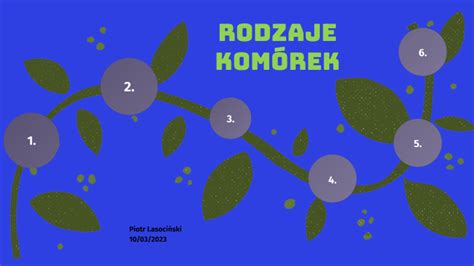 Komórki prokariotyczne i eukariotyczne by Piotr Lasociński on Prezi