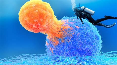 Morphological Profiling A Scalable Approach To Monitor Immune Cell