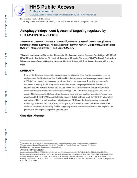 Pdf Autophagy Independent Lysosomal Targeting Regulated By Ulk12