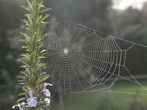 Transforming Legacy Applications Migrating To Aspnet Core Kmf Blogs