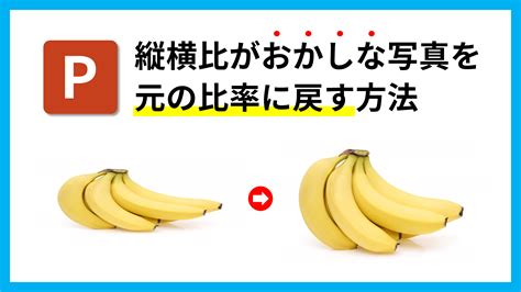 Powerpointでカギ線コネクタをコの字・曲線・直線にする方法 Ppdtp