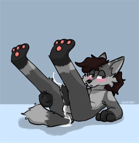 Rule 34 2024 After Masturbation Anthro Blush Canid Canine Canis