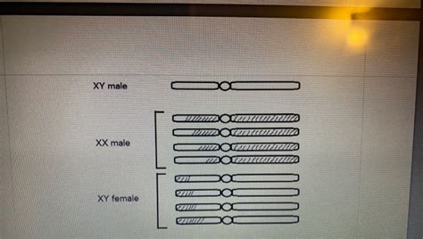 solved docum head 1 in class we saw part of a lecture by