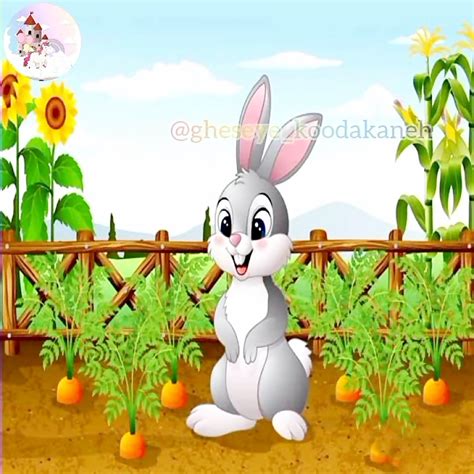 قصه خرگوش و سوپ هویج