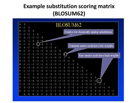 ppt scores and substitution matrices in sequence alignment powerpoint
