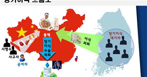 중국 원정 장기 밀매 총책 도피 8년 만에 검거