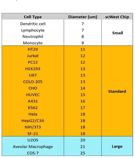 Faqs Single Cell Western Blot Bio Techne