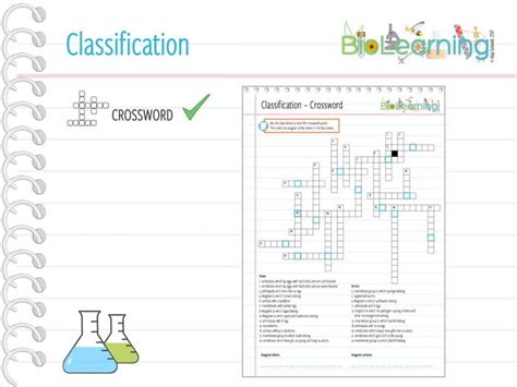Classification Crossword Ks3 Teaching Resources