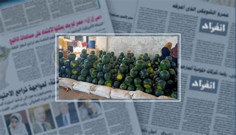 شعبة الخضروات الخوخ والبطيخ بالأسواق آمن وتنصح الباعة بعدم التخزين فى