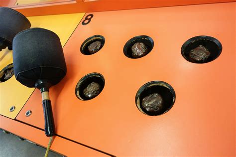 El Proyecto Scratch De Los Viernes XVIII Whac A Mole