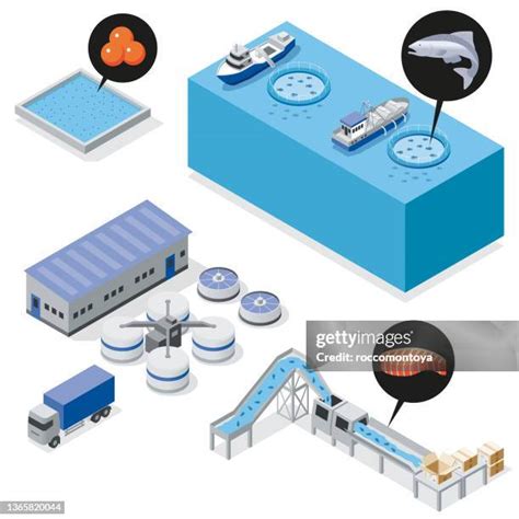 Factory Conveyor Food Packaging点のイラスト素材／クリップアート素材／マンガ素材／アイコン素材 Getty
