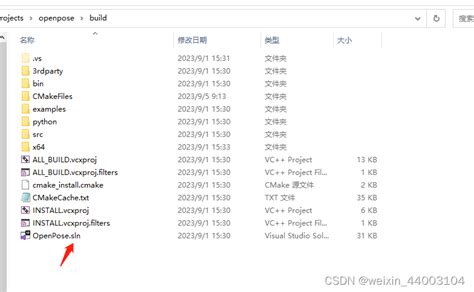 openpose安装教程（win10） openpose模型下载 csdn博客