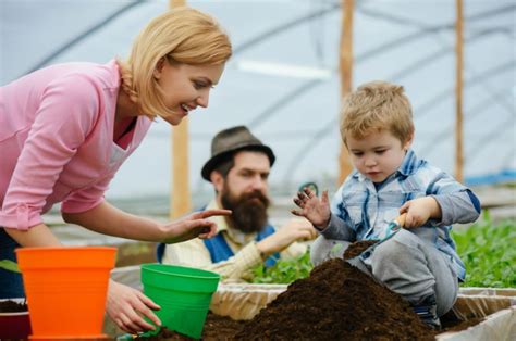 How To Build A Hydroponic Garden Complete Guide
