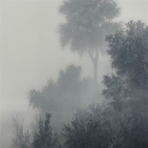 가영 Kancho0 • Threads Say More