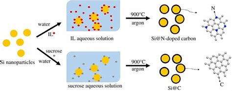Schematic Illustration Of The Synthesis Process Of Sic And Sin Doped