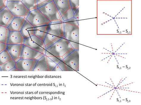 Voronoi Diagram And Processing Steps Including Voronoi Tessellations