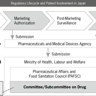 Patient Involvement In The Medicines Lifecycle At European Medicines