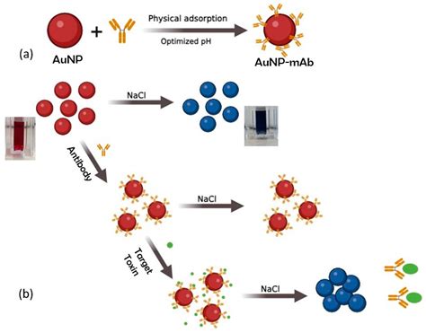 Mycotoxin Detection Through Colorimetric Immunoprobing With Gold