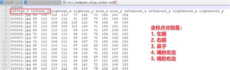 faceattr analysis data analysis celeba analysis md at master