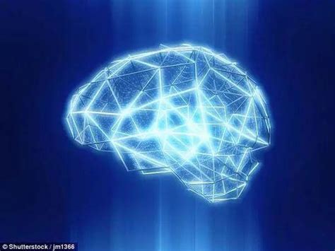 不是三维？科学家发现人的大脑里可能有11个维度！ 知乎