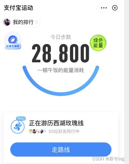 Java实现微信运动步数（已自测）zepp Life Java Csdn博客