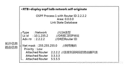 Ospf三类lsa详解 Csdn博客