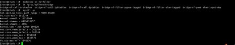 sysctl cannot stat proc sys firewalld 没有那个文件或目录 ruishu 0726 博客园