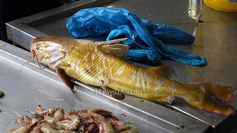 Sandakan Market With Lumix Gf1 Camera Review