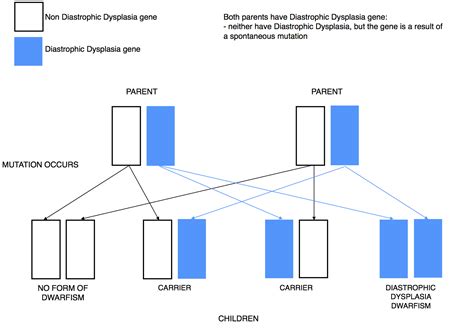 Diastrophic Dysplasia