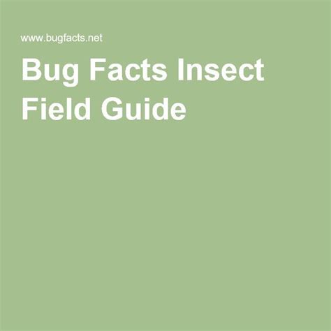 Bug Facts Insect Field Guide