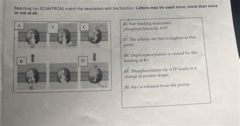 Solved Matching On Scantron Match The Description With The