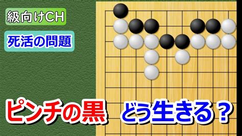 【囲碁問題】級向け・死活の問題（基本死活） Youtube