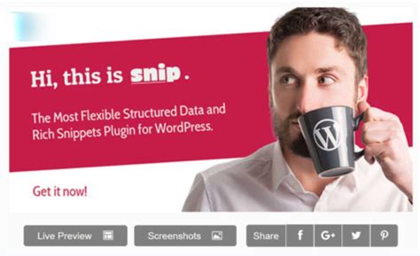 6 Best WordPress Rich Snippets And Schema Plugin To Consider In 2021 Wordpress Website Design