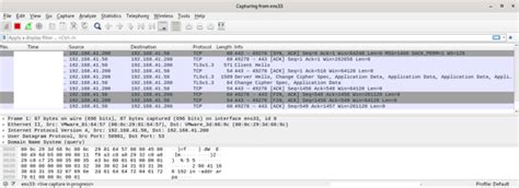 Malware Analysis Basics
