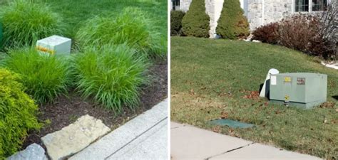 How To Hide Transformer Box In Yard 12 Easy Ways 2025