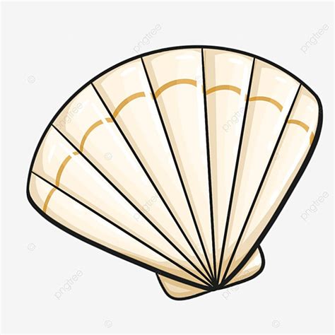 껍질 대양 단단하다 바다조개 Png 일러스트 및 Psd 이미지 무료 다운로드 Pngtree