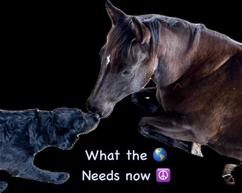 A Total Eclipse Of The Son Conscious Awareness Coach Mary Corning