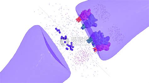 急性疼痛途径图片素材 正版创意图片402416203 摄图网