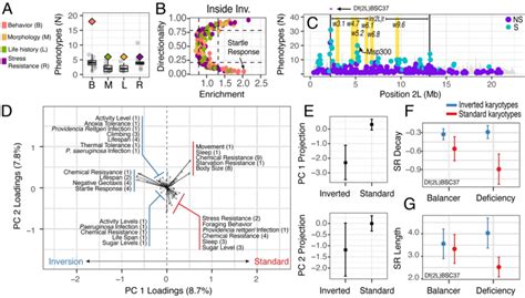 Phenotypes Associated With Candidate Loci On Chromosome Arm 2l A