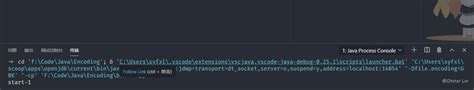 Vscode Java输出中文乱码问题解决 更新 青空之蓝