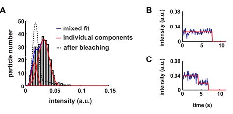 High Resolution Spatiotemporal Analysis Of Receptor Dynamics By Single Molecule Fluorescence