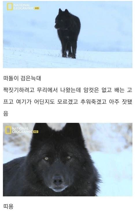 아니 아저씨 딸도 나 좋다고 했다니까